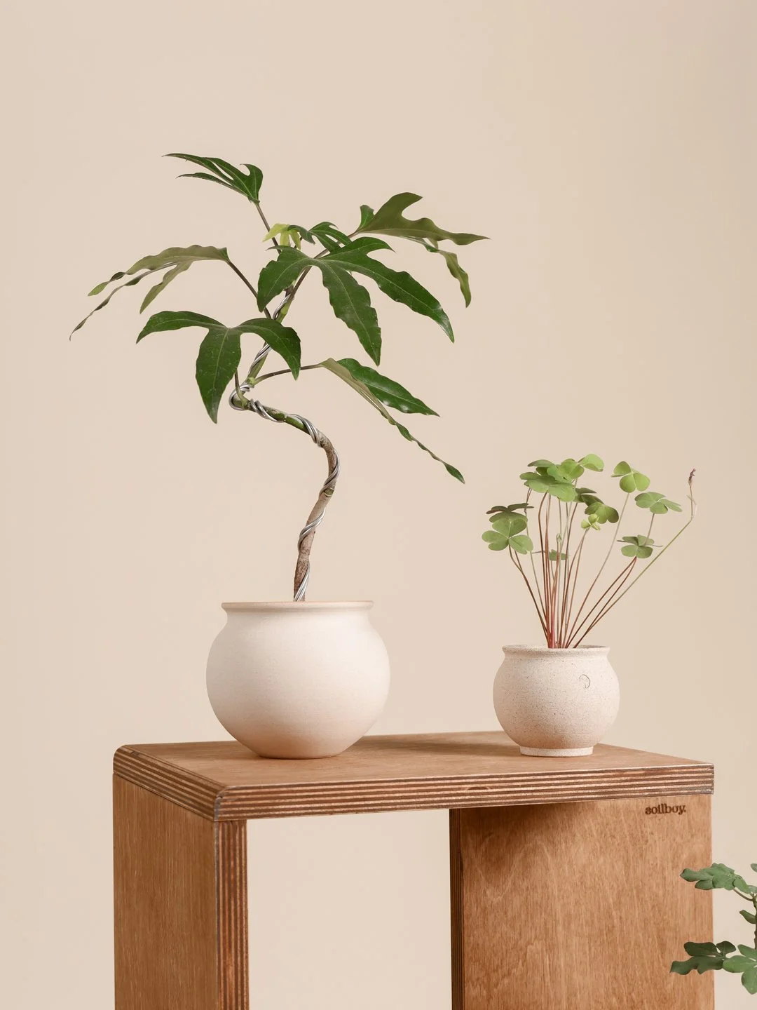 Plant Platform 02 — Soilboy