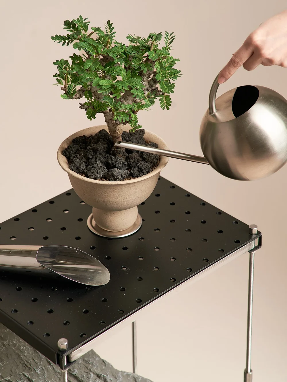 Collaboration — Soilboy