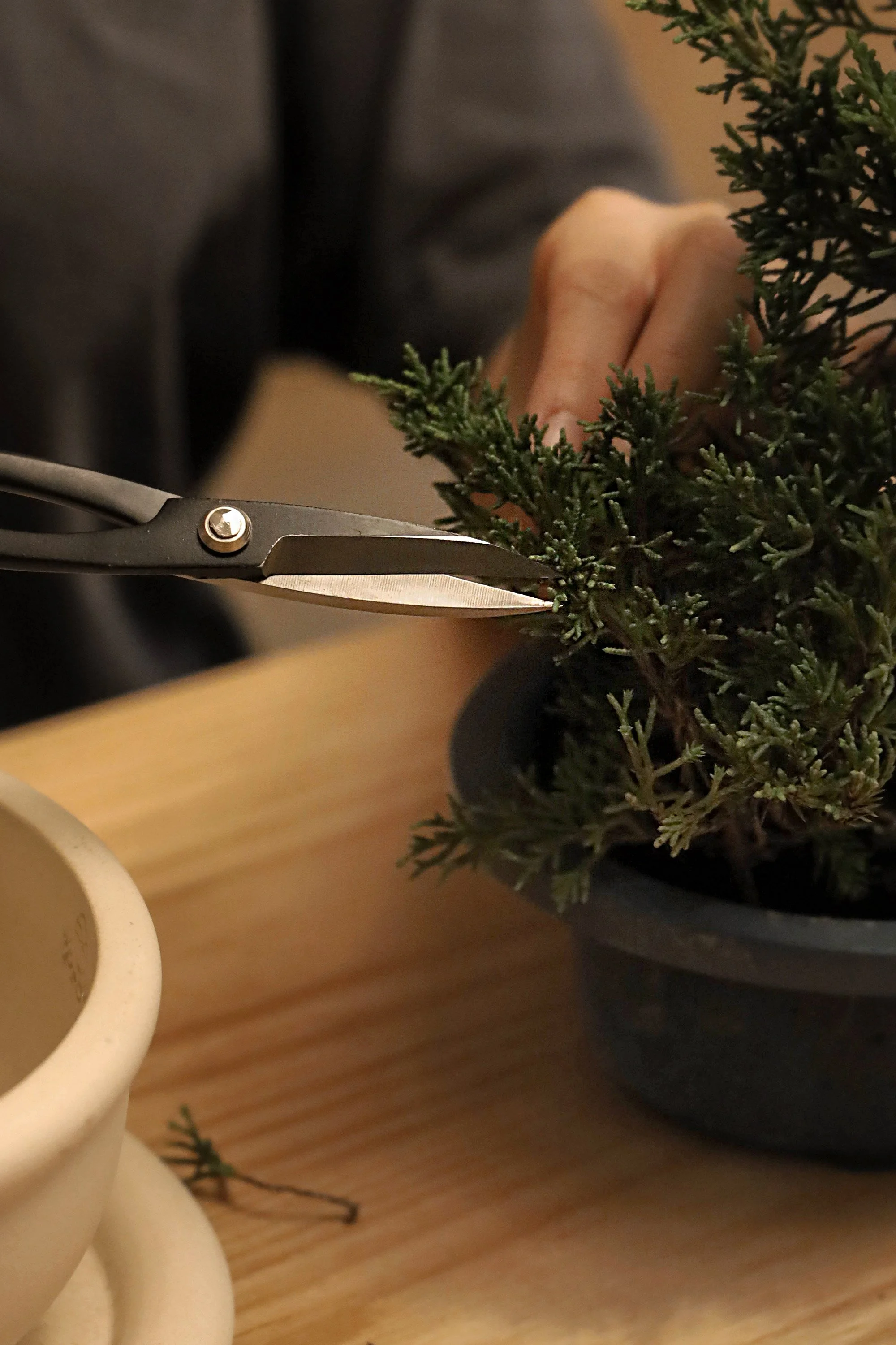 Bonsai Wiring Workshop — Soilboy