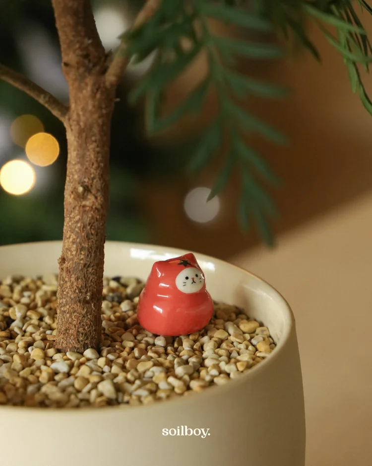Shop our new collection of planters — Soilboy