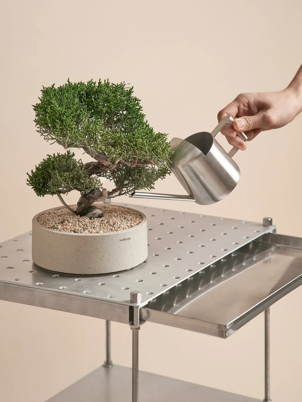 Collaboration — Soilboy
