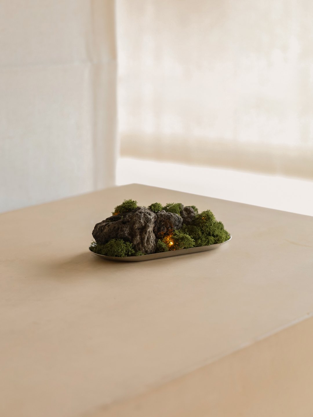 Workshops — Soilboy