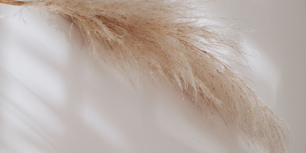 Educators — Trust & Mane Extensions