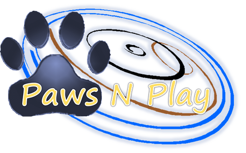 Paws N Play Dog Training