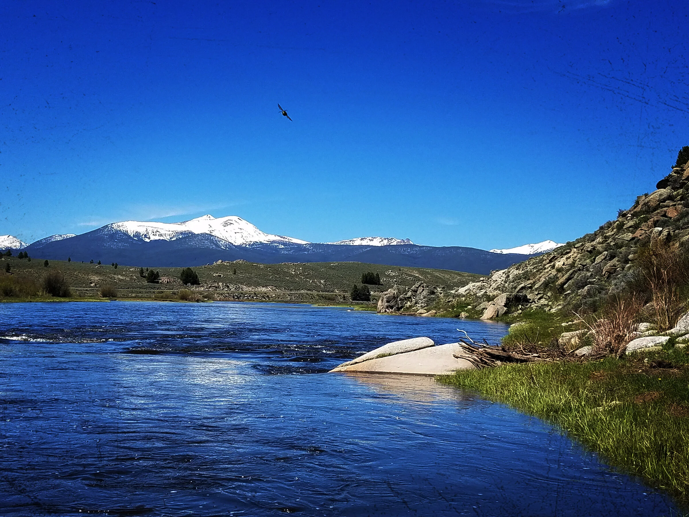 Montana Fly Fishing