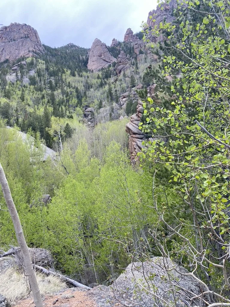 Psychedelic Integration Therapy | Exploring Experiential Healing — Beyond the Mind Psychotherapy ...