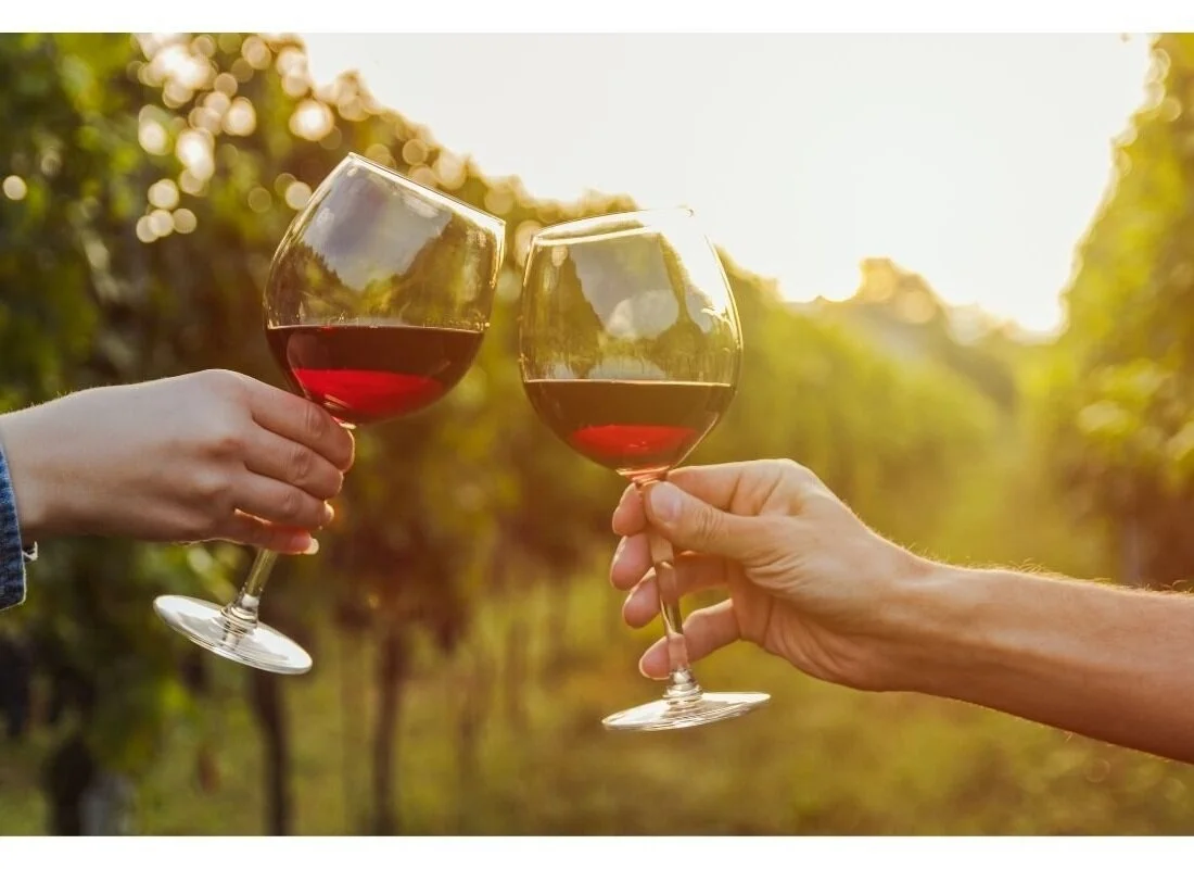 Tips for Planning a Trip to Los Cabos — The Present Perspective