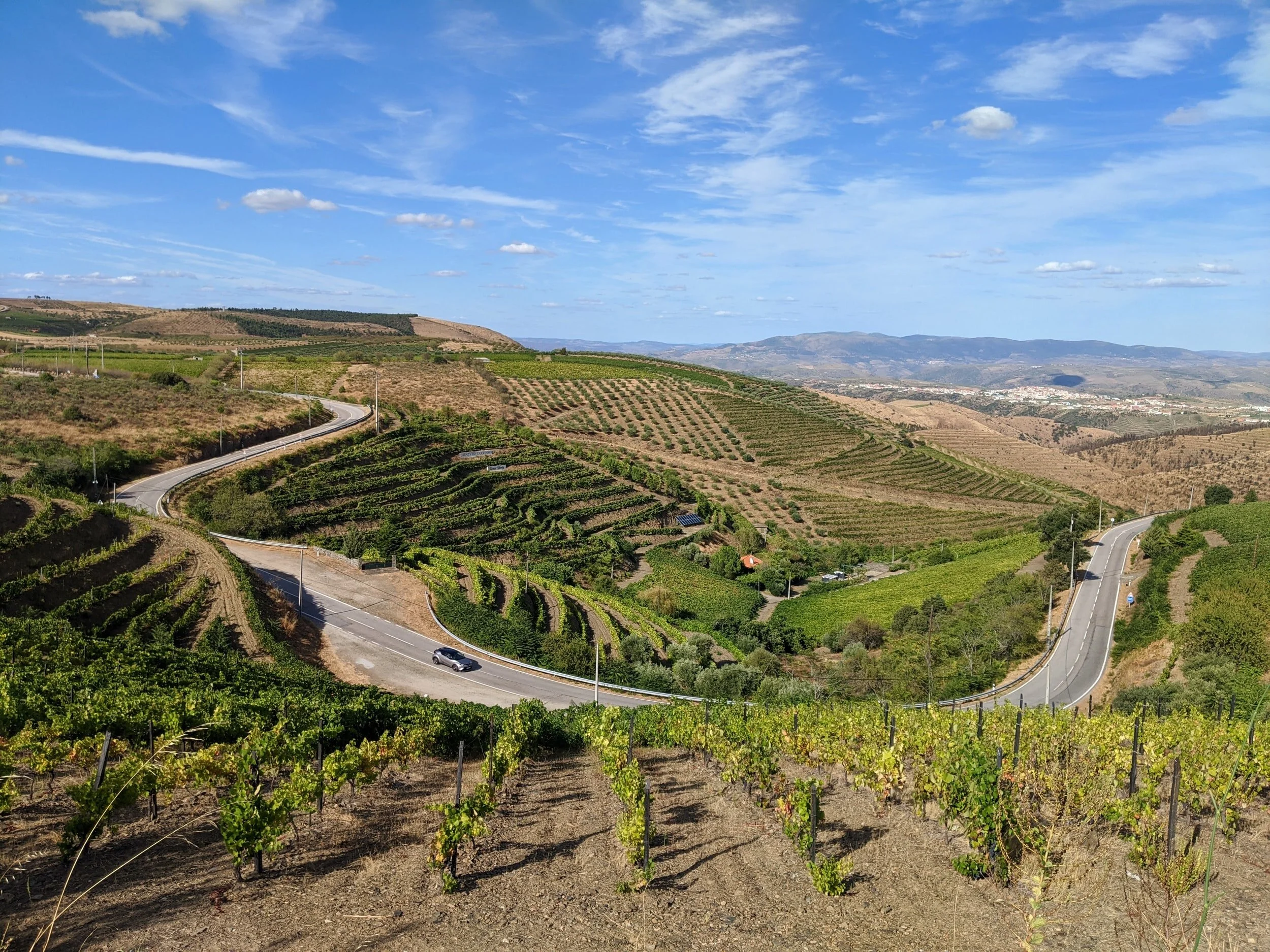 Planning your Napa Valley Wine Tasting Trip — The Present Perspective