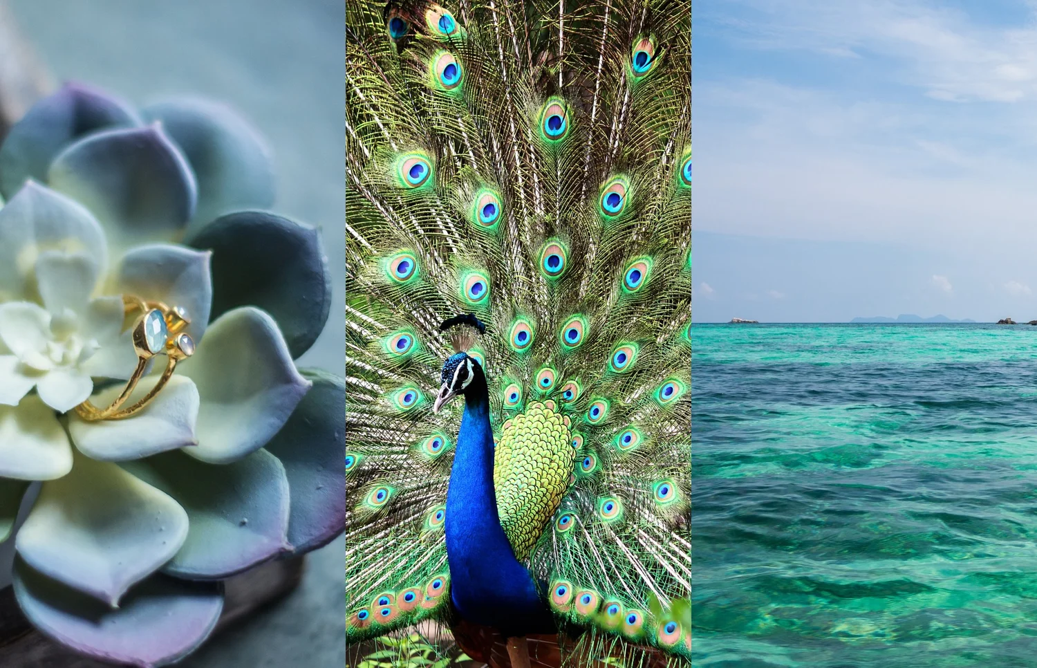 Winning Combinations: Analogous colors live side by side. — Joan Kosmachuk