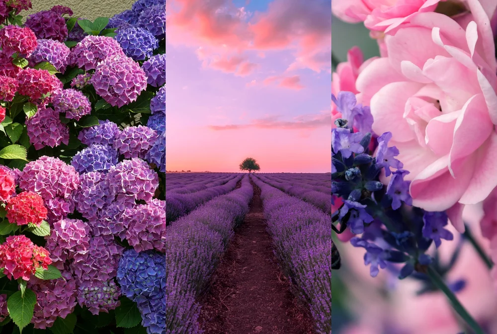 Winning Combinations: Analogous colors live side by side. — Joan Kosmachuk