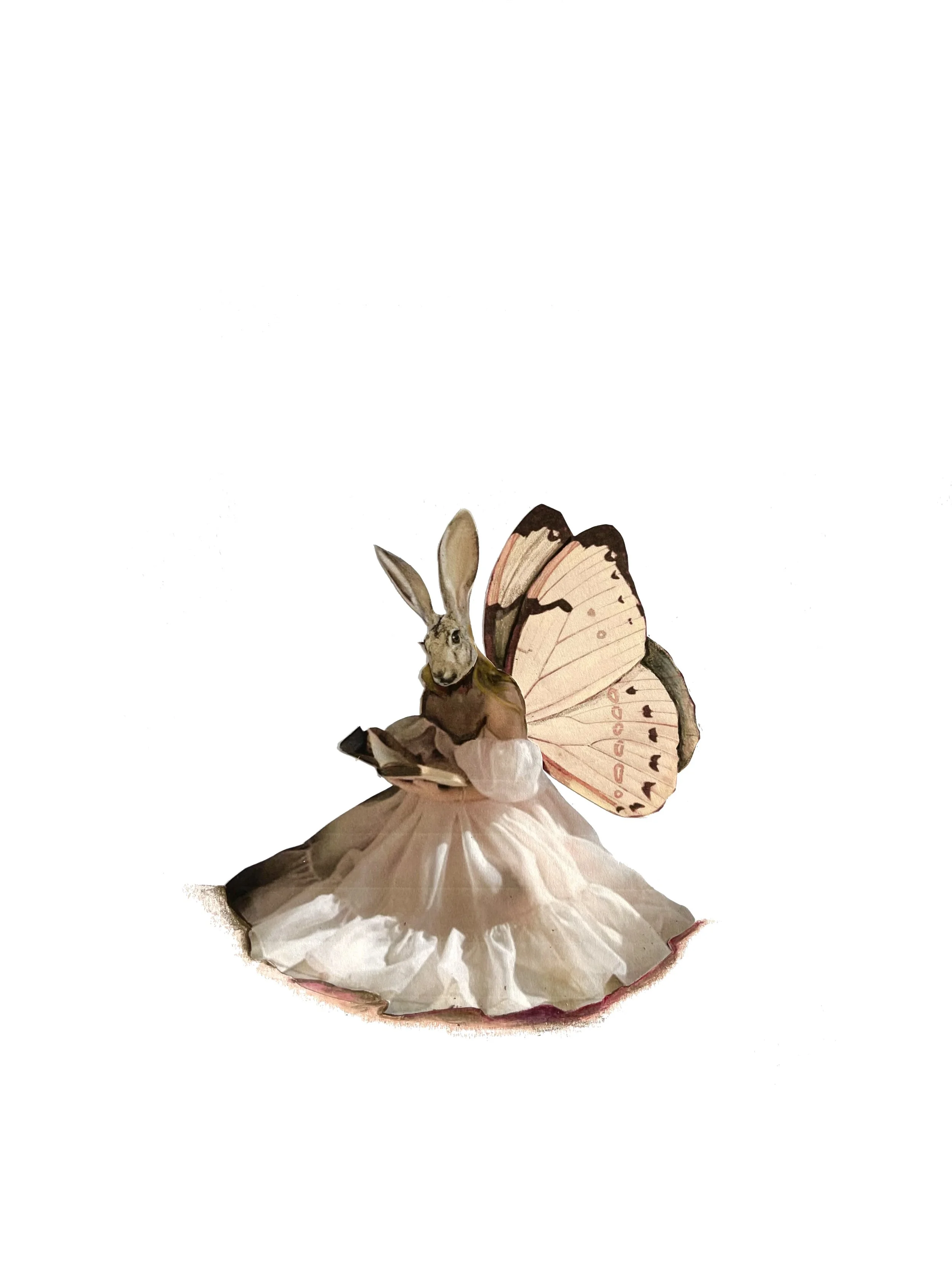 Shop — Cassandra Quinn Art