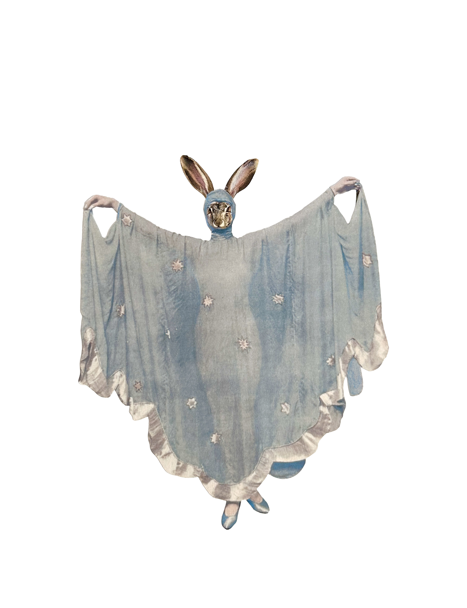 Shop — Cassandra Quinn Art