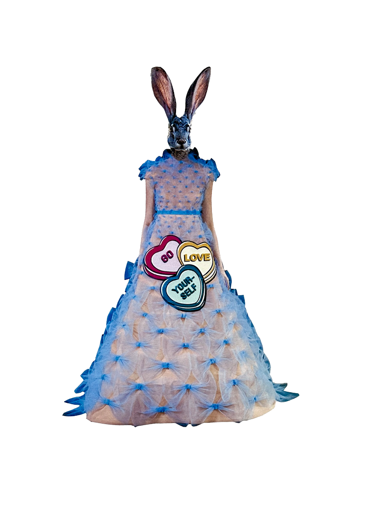 Shop — Cassandra Quinn Art