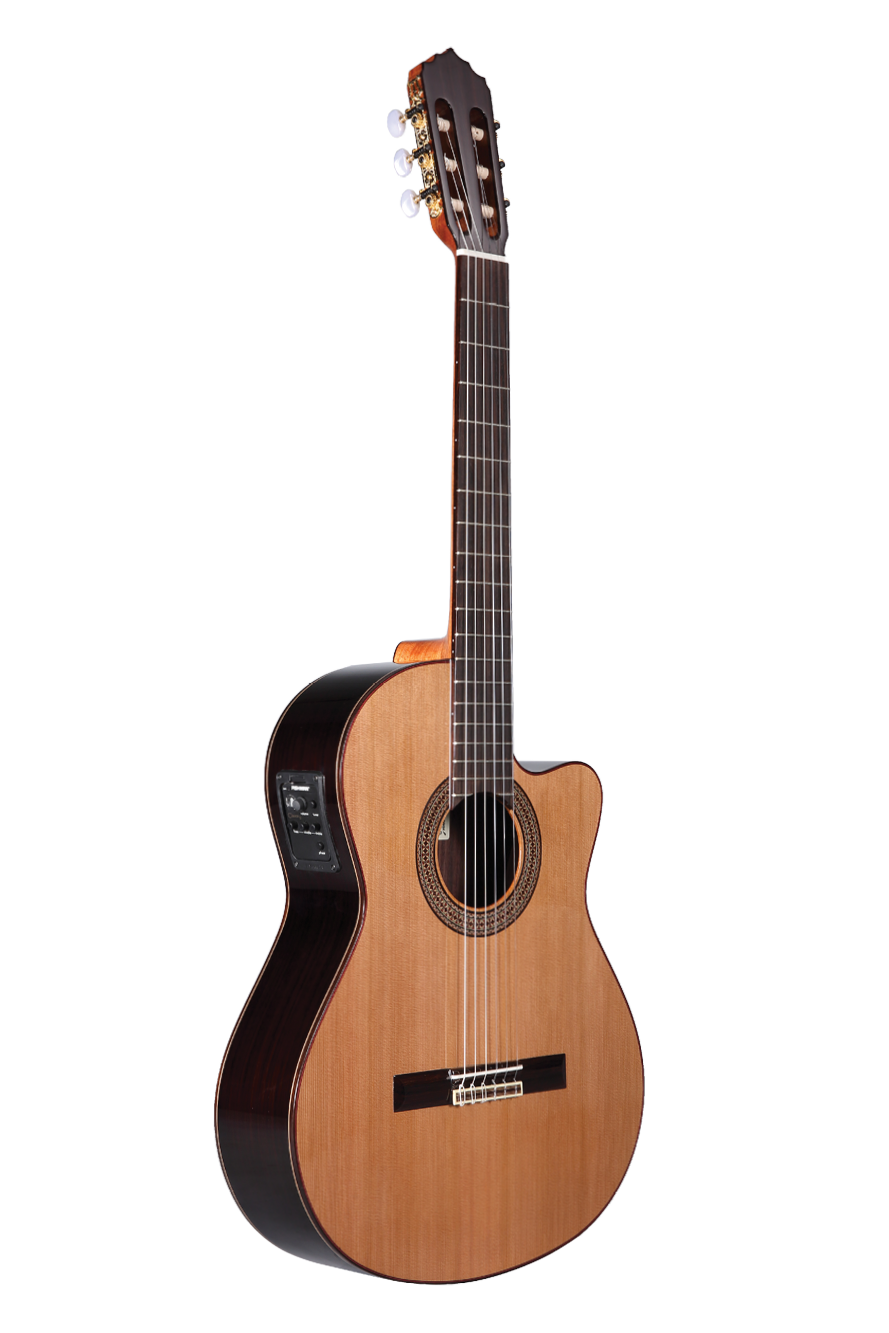 Altamira Guitars