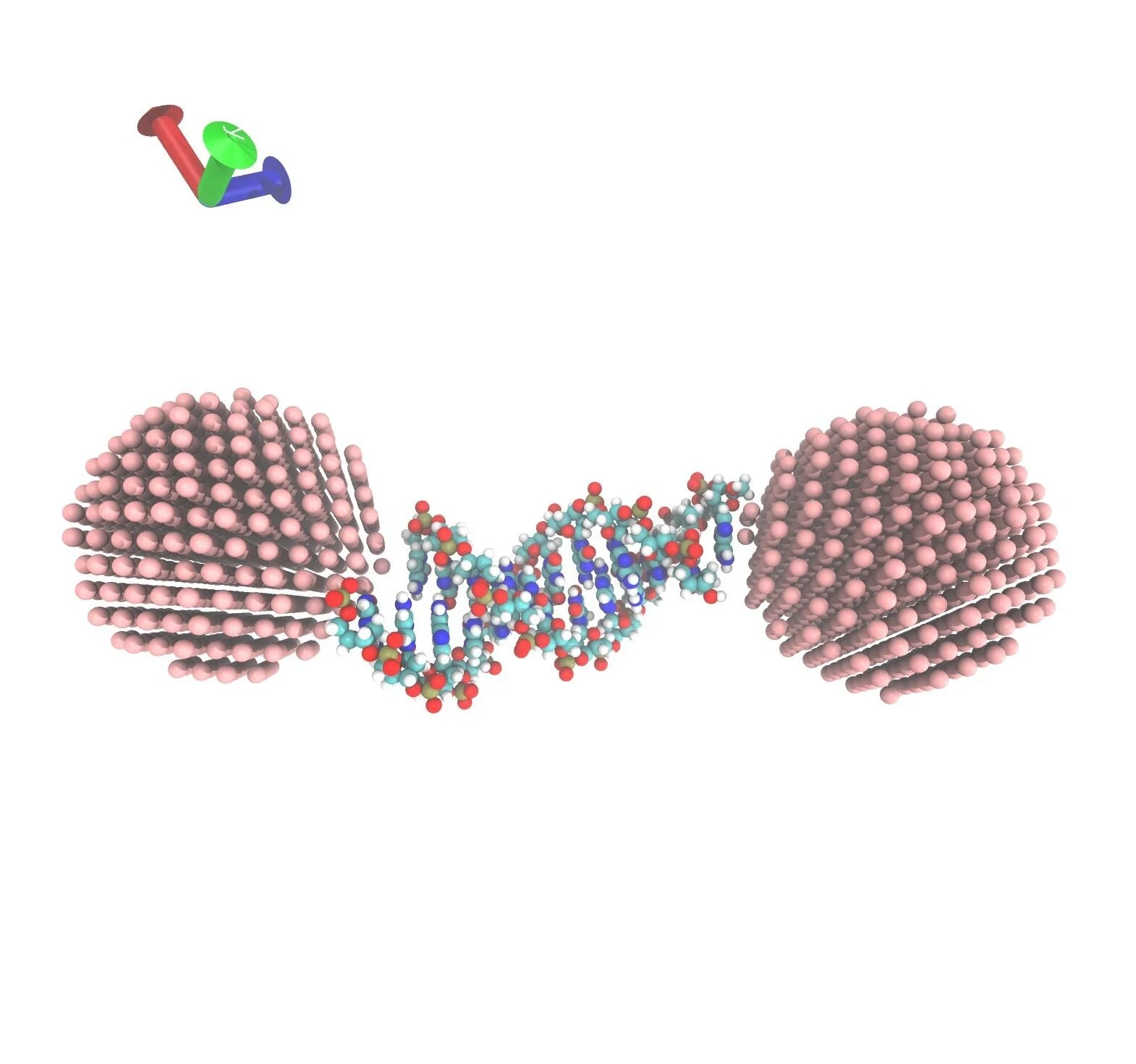 DNA Nanoparticle Carriers — Kyle Skelil