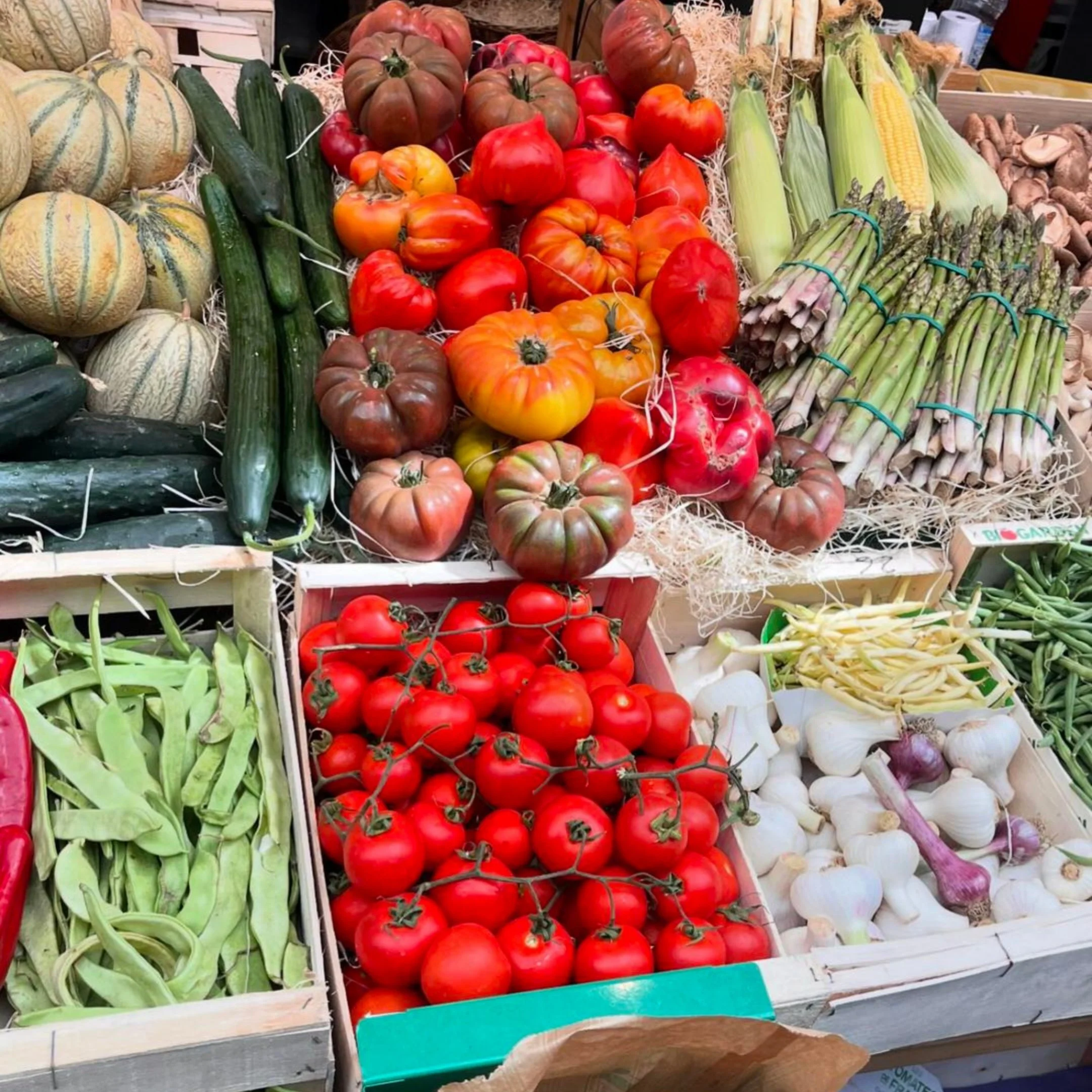 Food Influencers You Should Know About: An Interview with Tala AlRayes ...