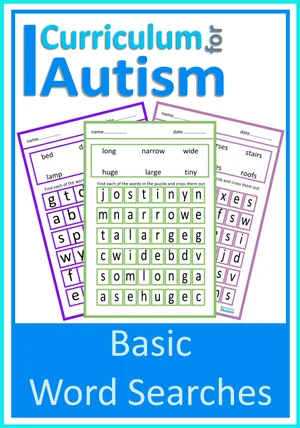 Phonics CVC CVCE CVCC Large Print Word Searches Autism Special ...