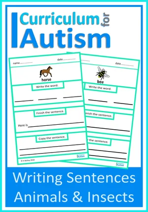 Functional Vocab Everyday Items Writing Sentences with Prompts ...