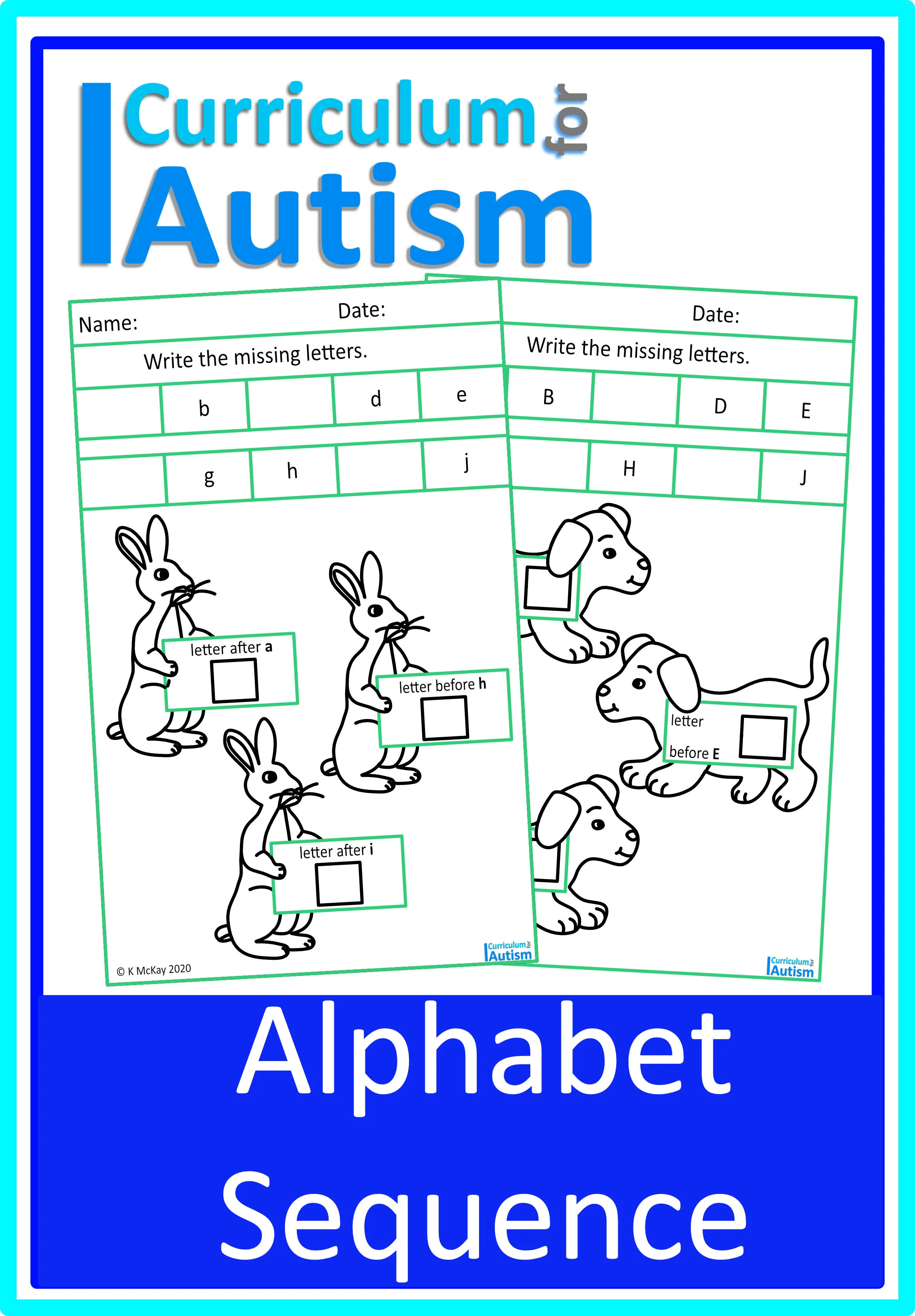 Autism Language Arts & Literacy lesson activities for special education ...
