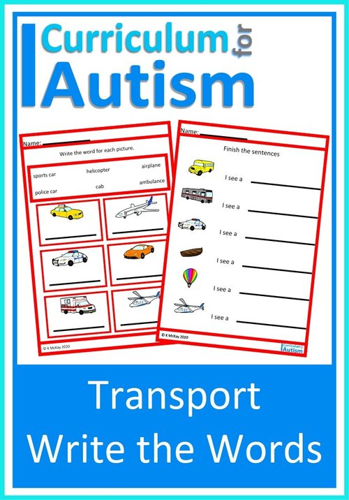 Autism Emotions & Feelings Vocabulary Lessons Worksheets Task Cards ABA ...