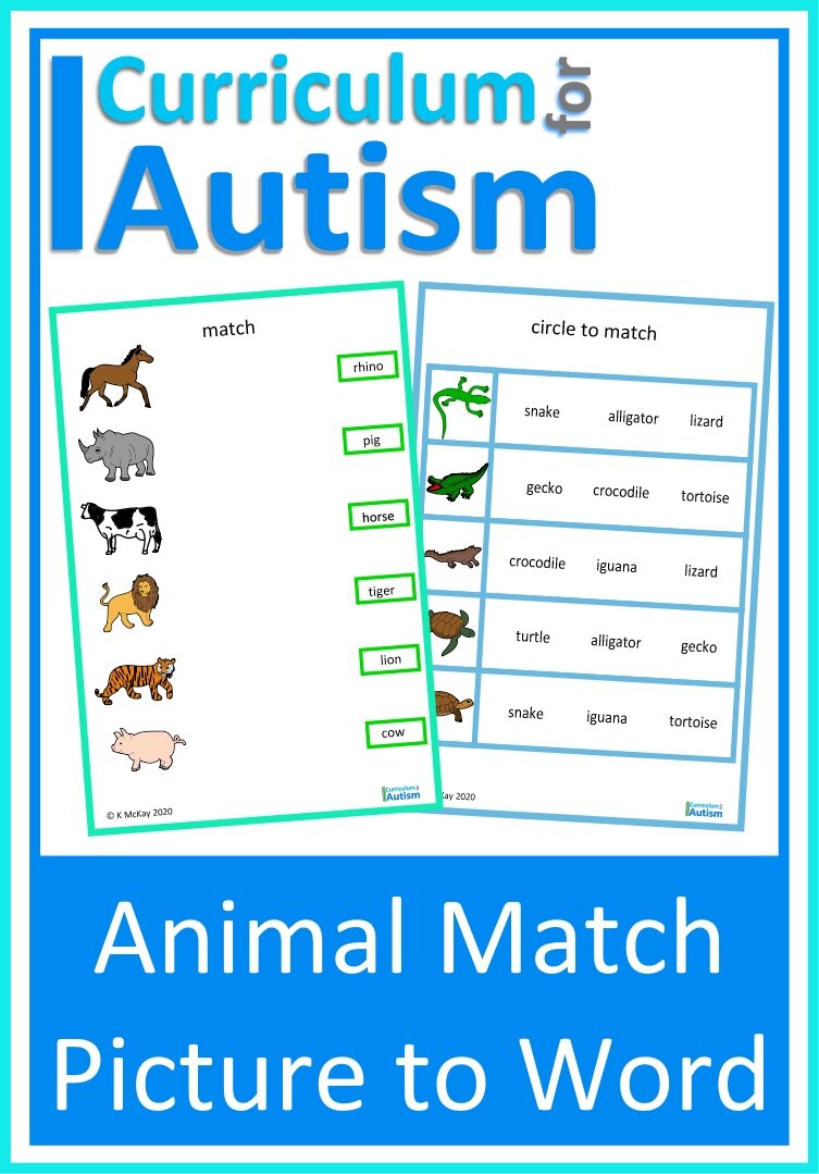Colors Sight Words Match Clip Cards Autism Special Education ...