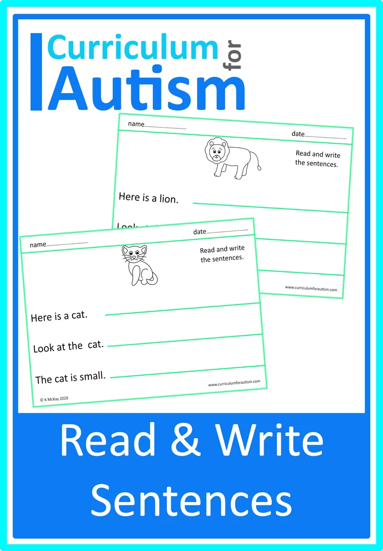 True or False Sentences Reading Comprehension Worksheets Autism Special ...