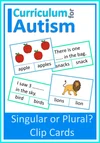 Vocabulary Yes or No Cards Arts & Crafts Theme Autism Special Education ...
