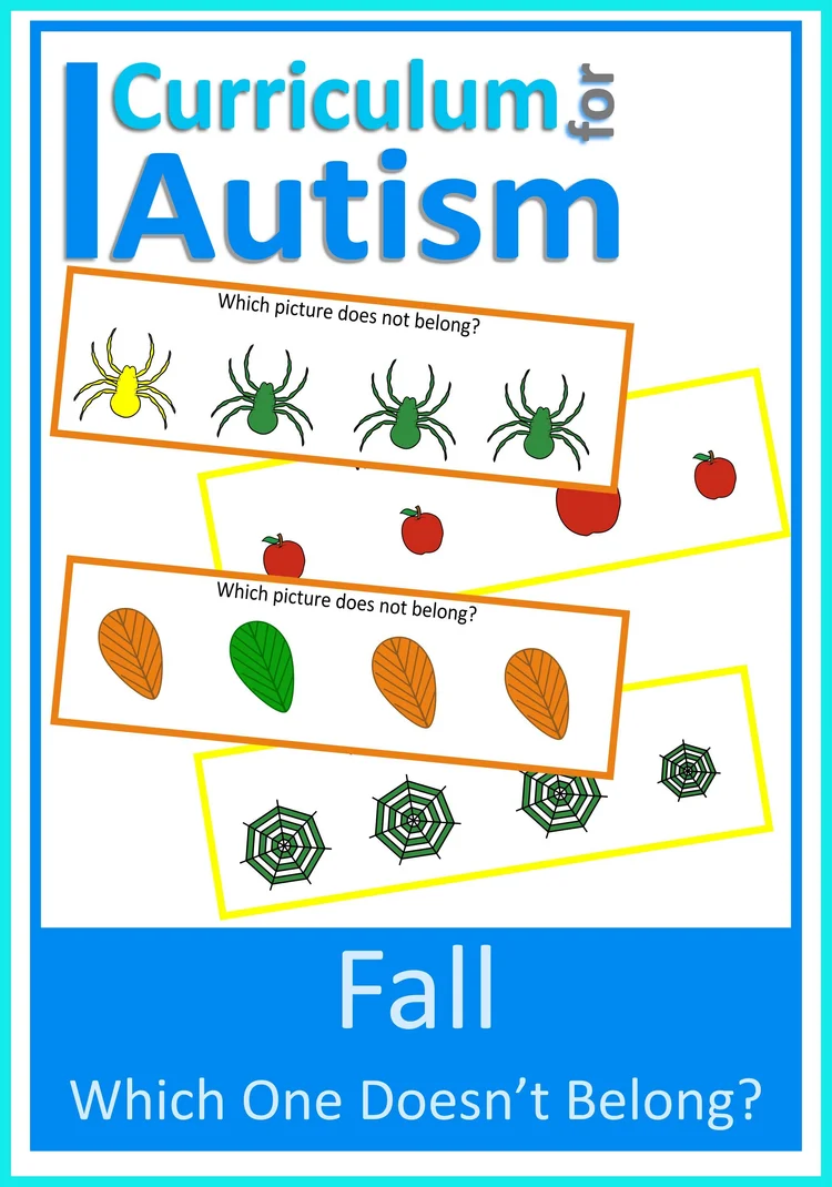 Non Identical Picture Matching Cards Autism Special Education Class ...