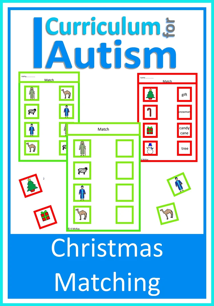 Summer Theme Identical Picture Matching Activities Autism Special ...