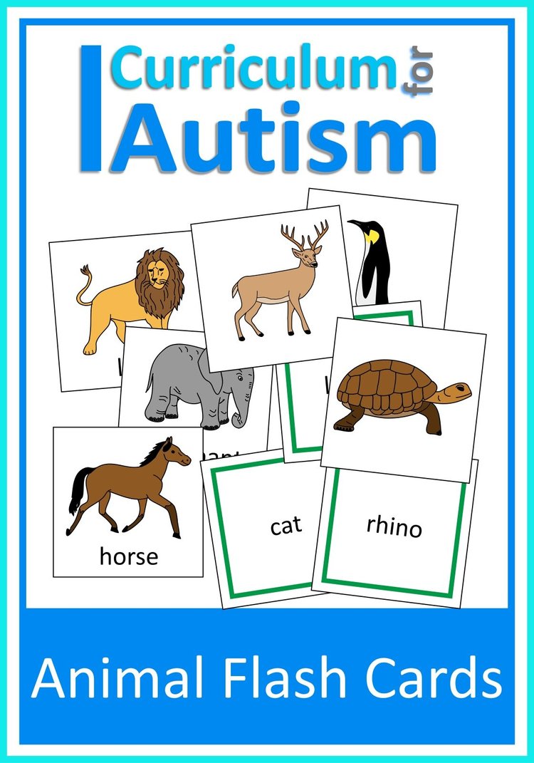 Autism Speech & Language Adjectives Activities Special Education ...
