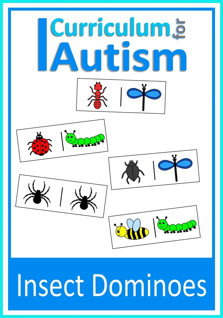 Autism Speech Picture Dominoes Game Clothes & Colors Match Special ...