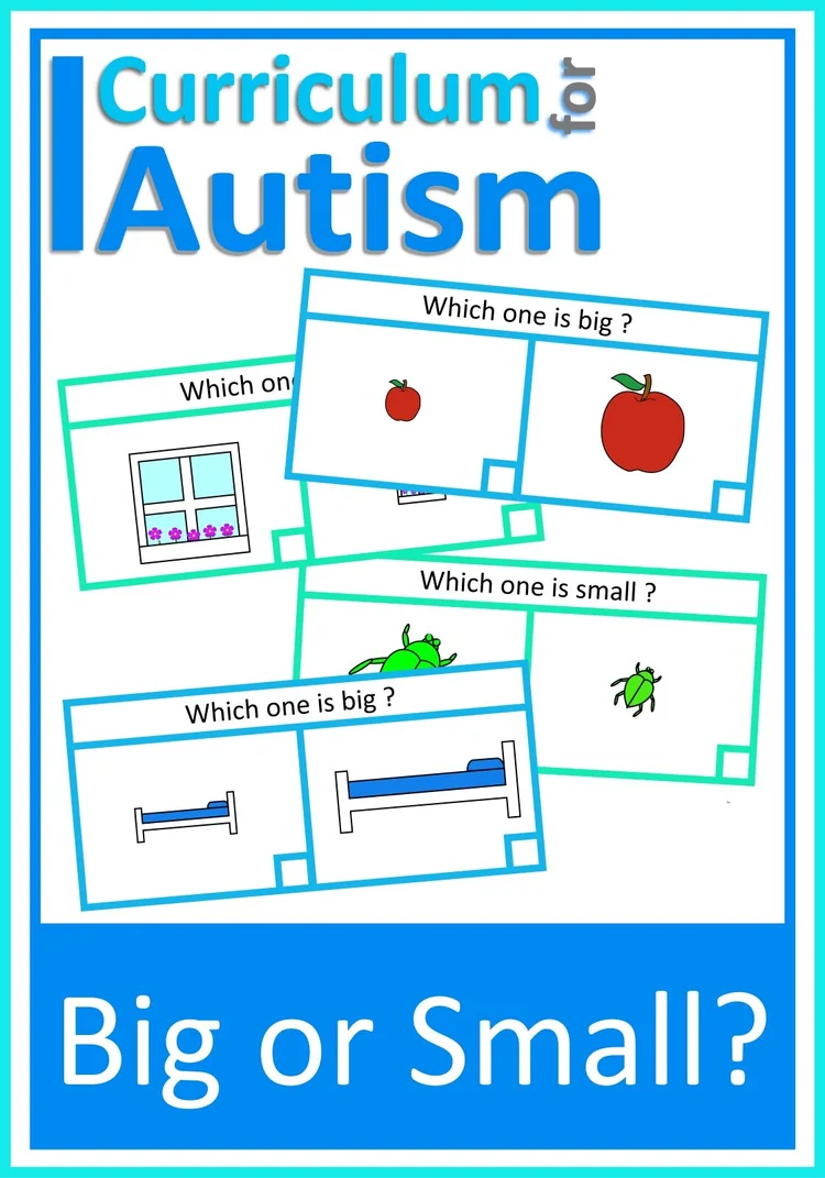 Autism Speech & Language What Is Different? Picture Clip Cards Special ...
