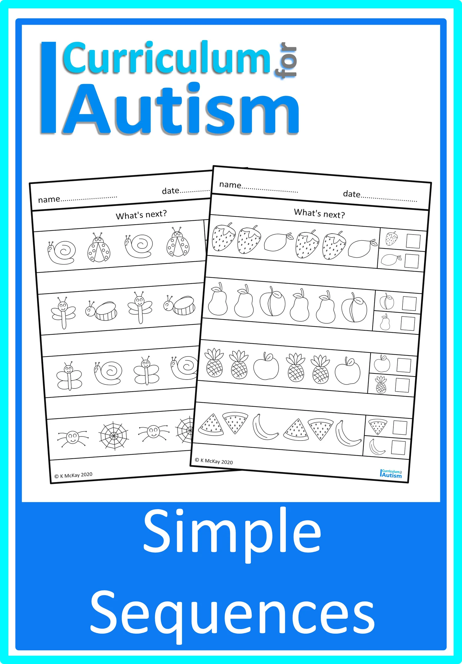 Sequences Patterns Activity Autism Special Education — Curriculum For ...