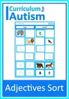 Autism Vocabulary Nouns Yes or No Picture Task Cards Special Education ...