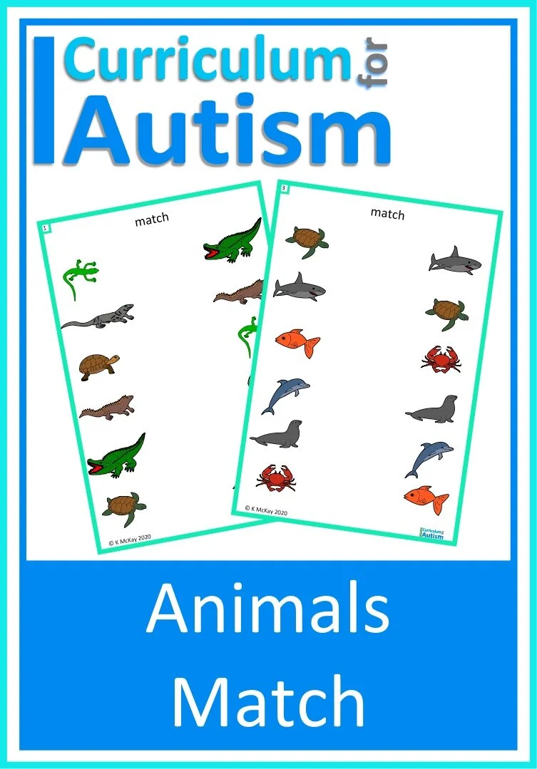 Color Match Transportation Theme Task Autism Kindergarten Classroom ...