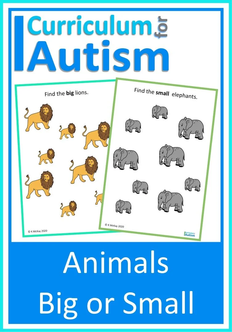 Picture Nouns Alphabet Vocabulary Flash Cards Autism Special Education ...