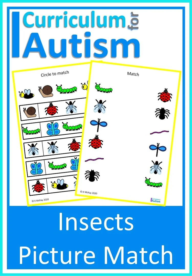 Identical Picture Matching Animals & Birds Clip Cards Autism Special ...