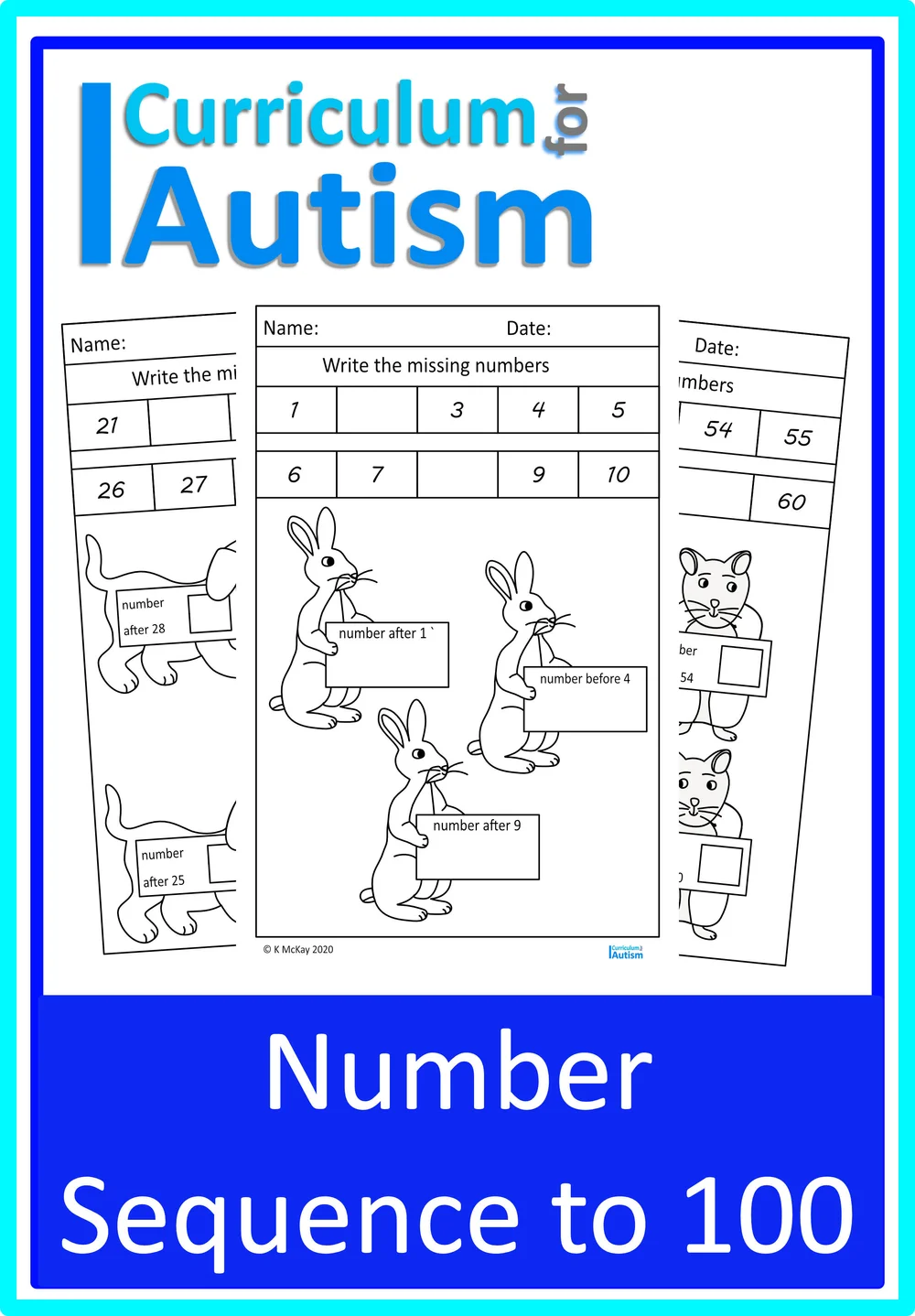 Number Lines Counting 10-20 Worksheets Autism Special Education ...