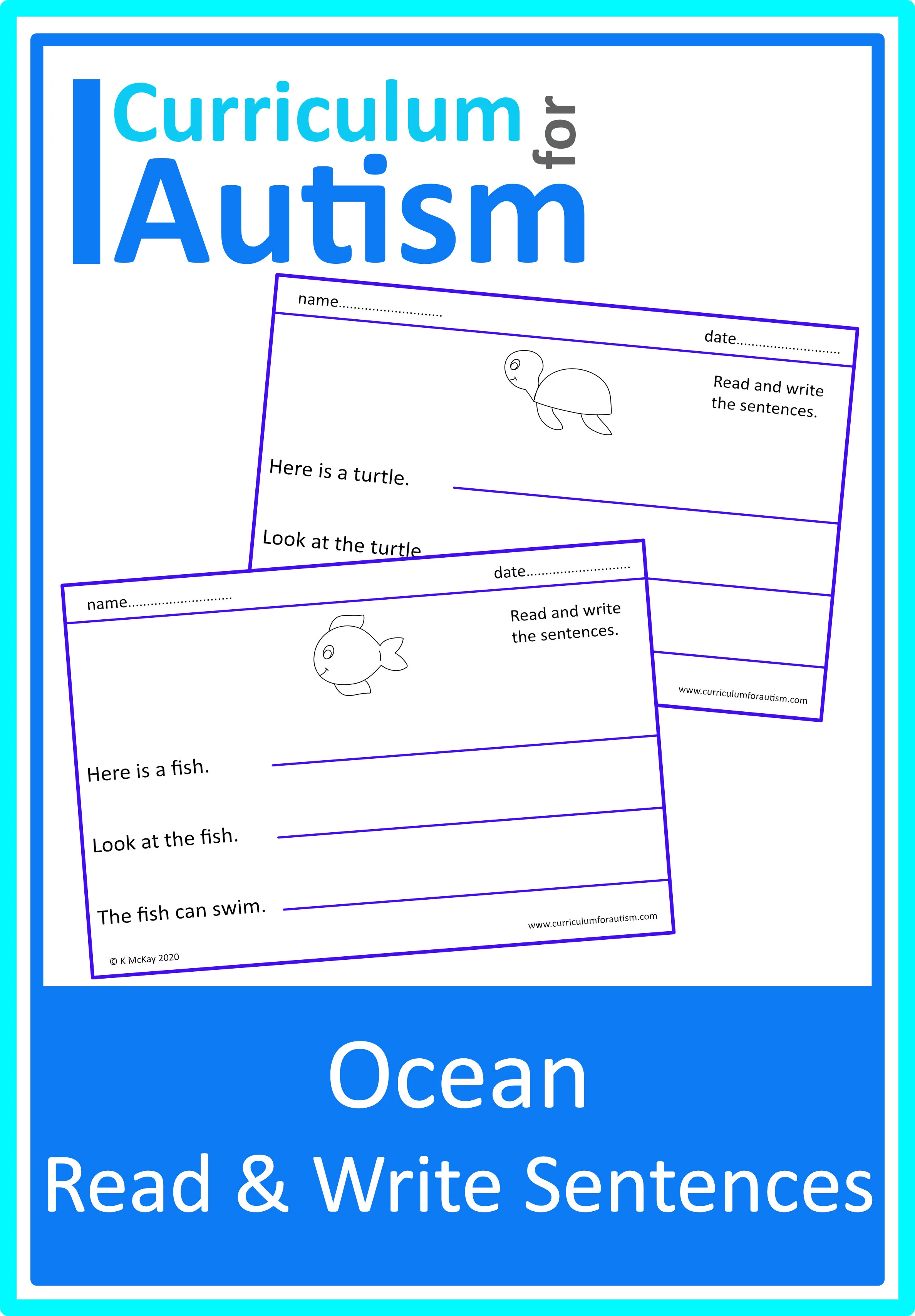 Writing Expanded Sentences Worksheets Autism Special Education Language ...