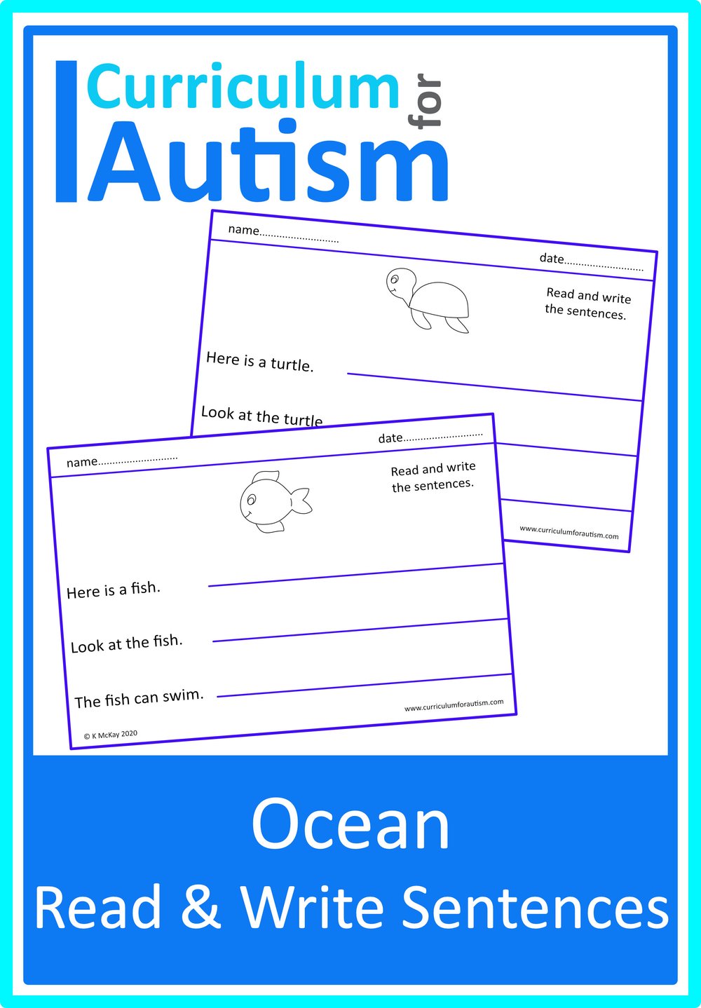 Writing Simple Sentences Transportation Worksheets Autism Special ...