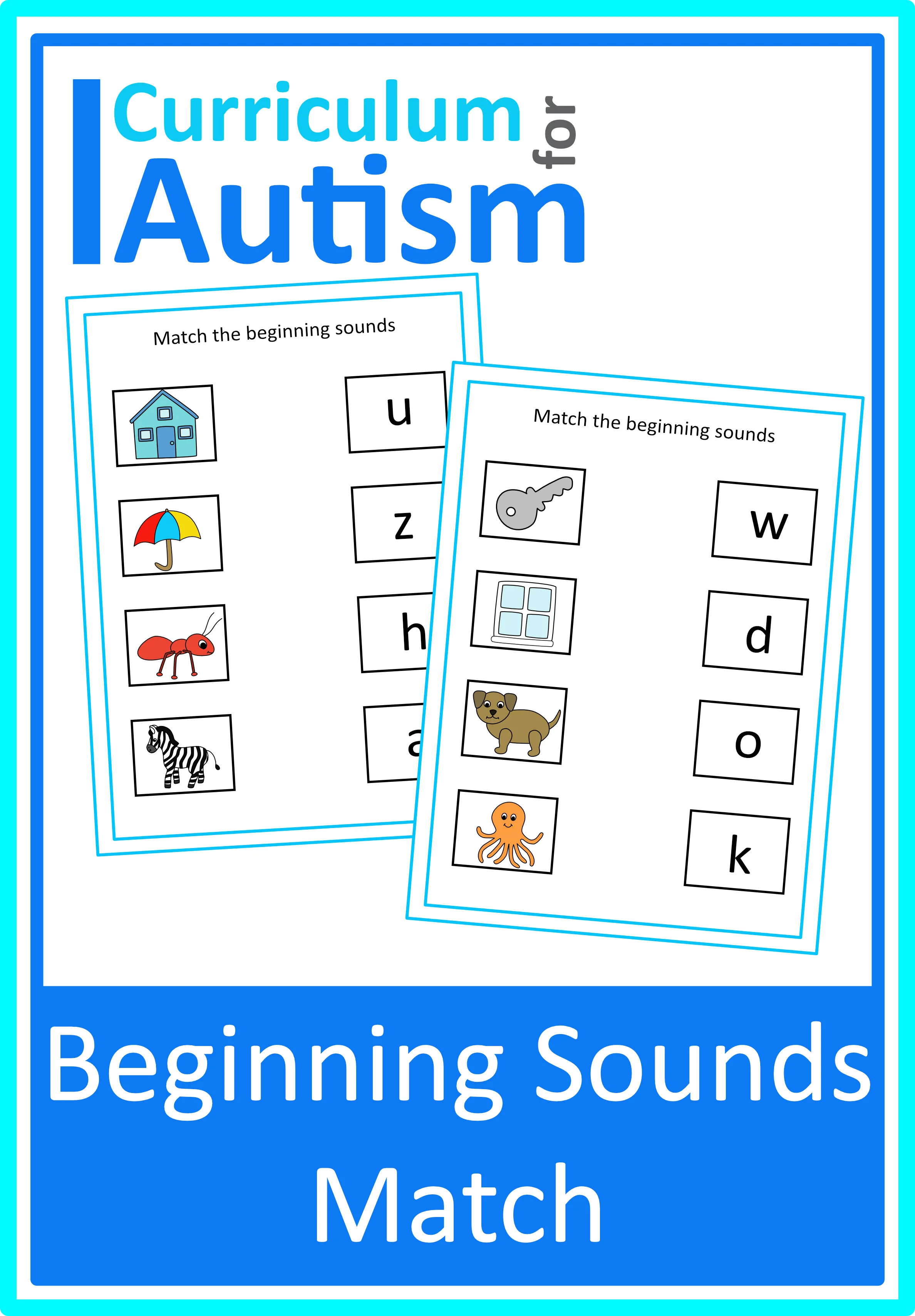Autism Language Arts worksheets, task cards and activities for autistic ...