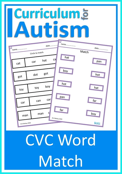 Phonics Read & Write Decodable Sentences Autism Special Education ...