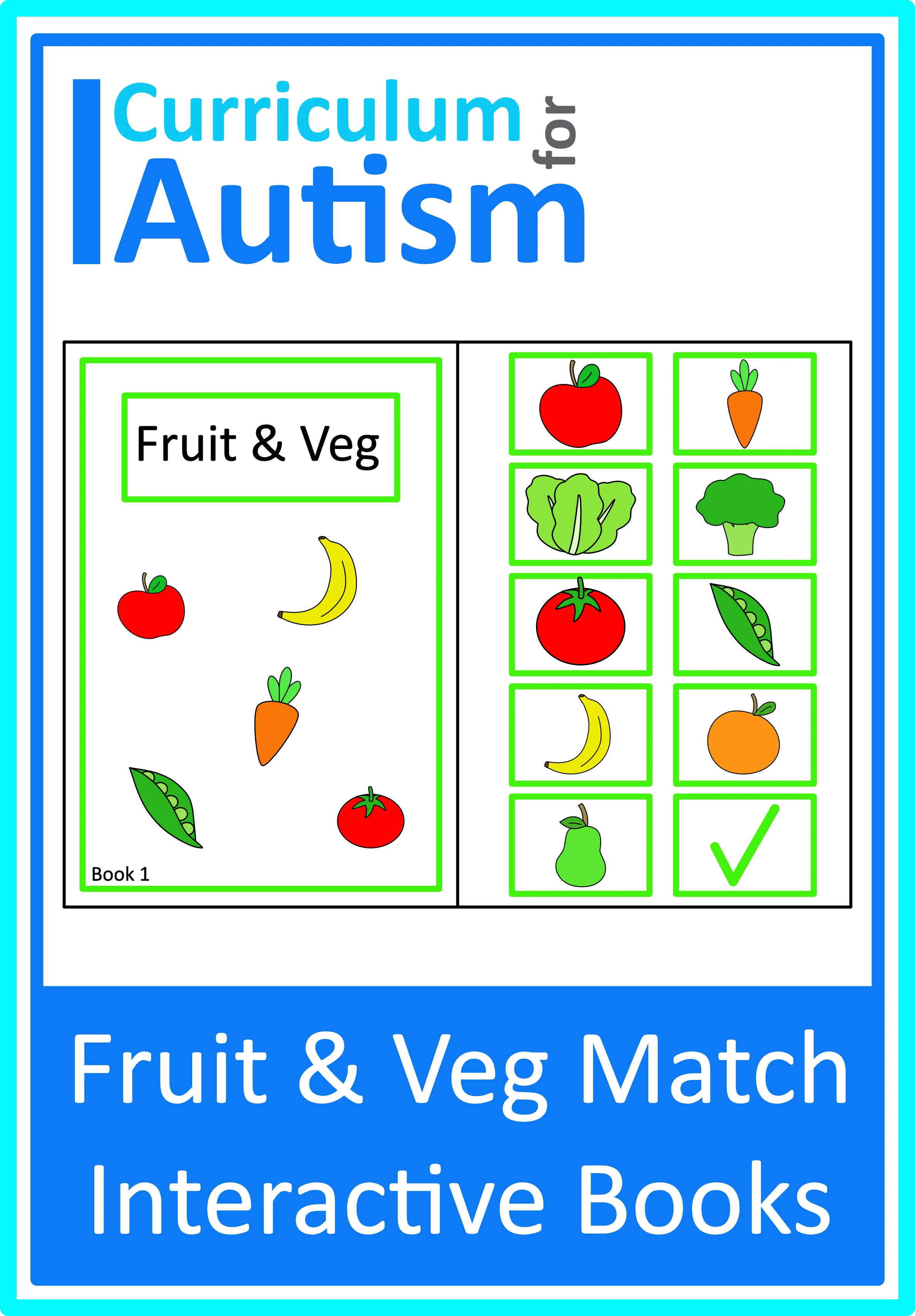 Identical Picture Matching Birds Theme Interactive Books Autism Special ...