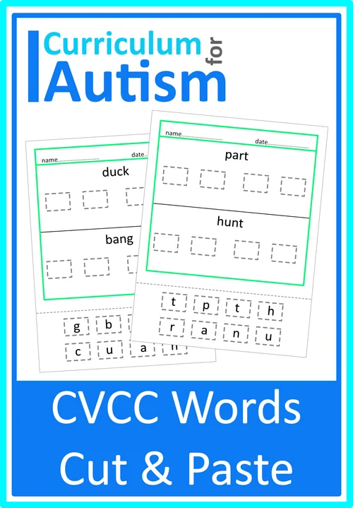 Phonics Read & Write Decodable Sentences Autism Special Education ...