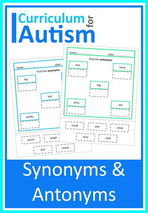 Synonyms & Antonyms Vocabulary Lotto Bingo Game Autism Special ...