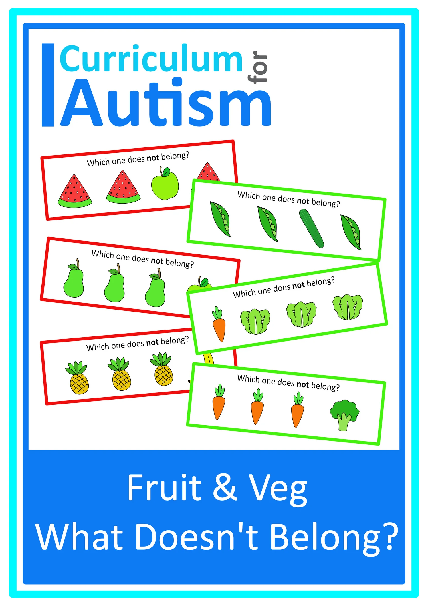 Autism Vocabulary Nouns Yes or No Picture Task Cards Special Education ...