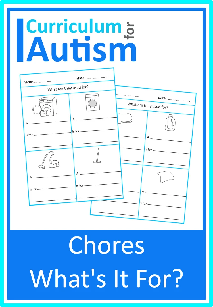 Object Function What's If For Flash Cards Game Autism Special Education ...