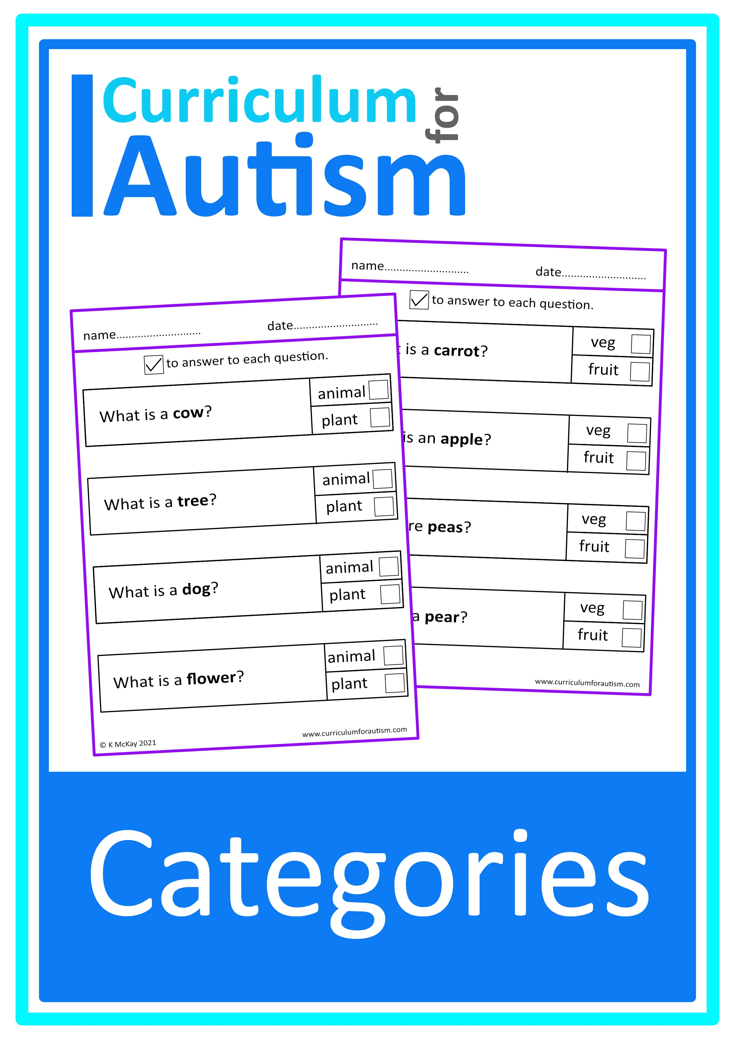 Big or Small Picture Cards Special Education Self Contained Class ...