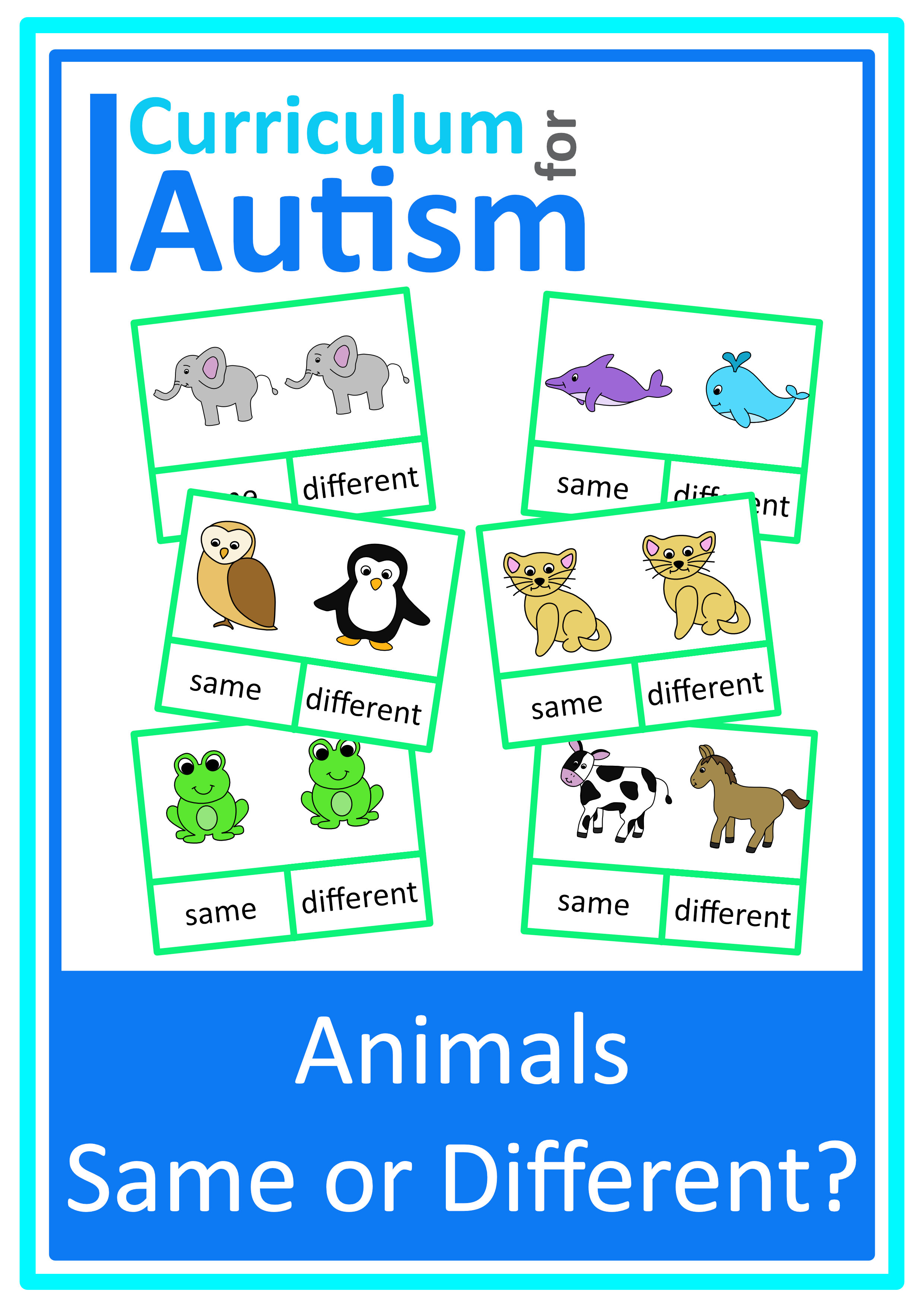 Autism Vocabulary Nouns Yes or No Picture Task Cards Special Education ...
