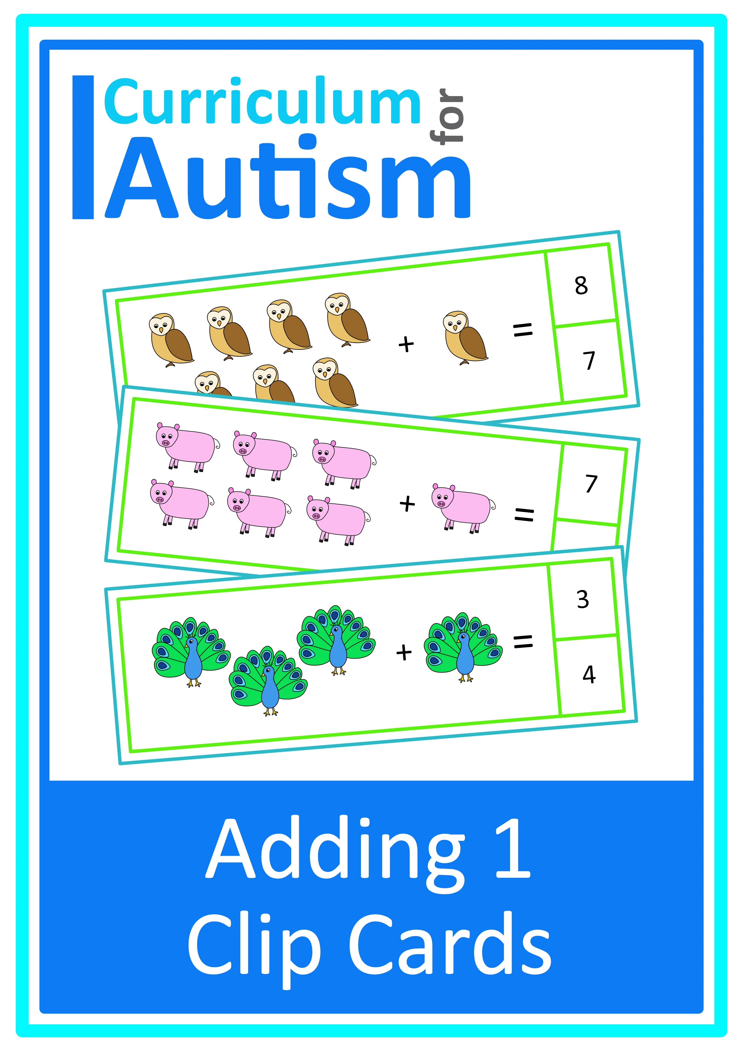 Addition to 20 Buttons Large Print Cards Autism Special Education Class ...